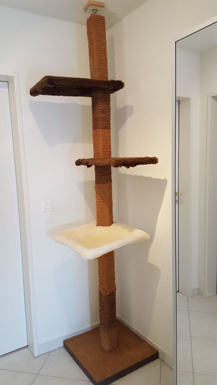 Robuster Katzen-Kratzbaum (Gebraucht) in für CHF 10 – nur Abholung auf ...