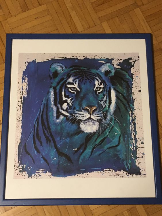 Rolf Knie „eyes of the tiger“ (Gebraucht) in Wangen b. Olten für CHF 28 – nur Abholung auf ...