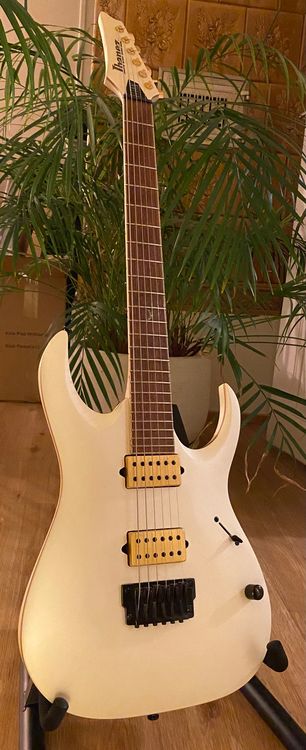 Ibanez Jake Bowen (Periphery) Signature Guitar (Gebraucht) in Netstal ...