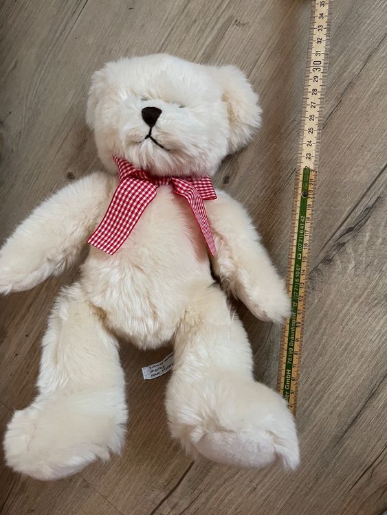 Teddybär mit Halsband neu ab 1 Fr. (Neu (gemäss Beschreibung)) in Seon für CHF 1 – mit Lieferung ...