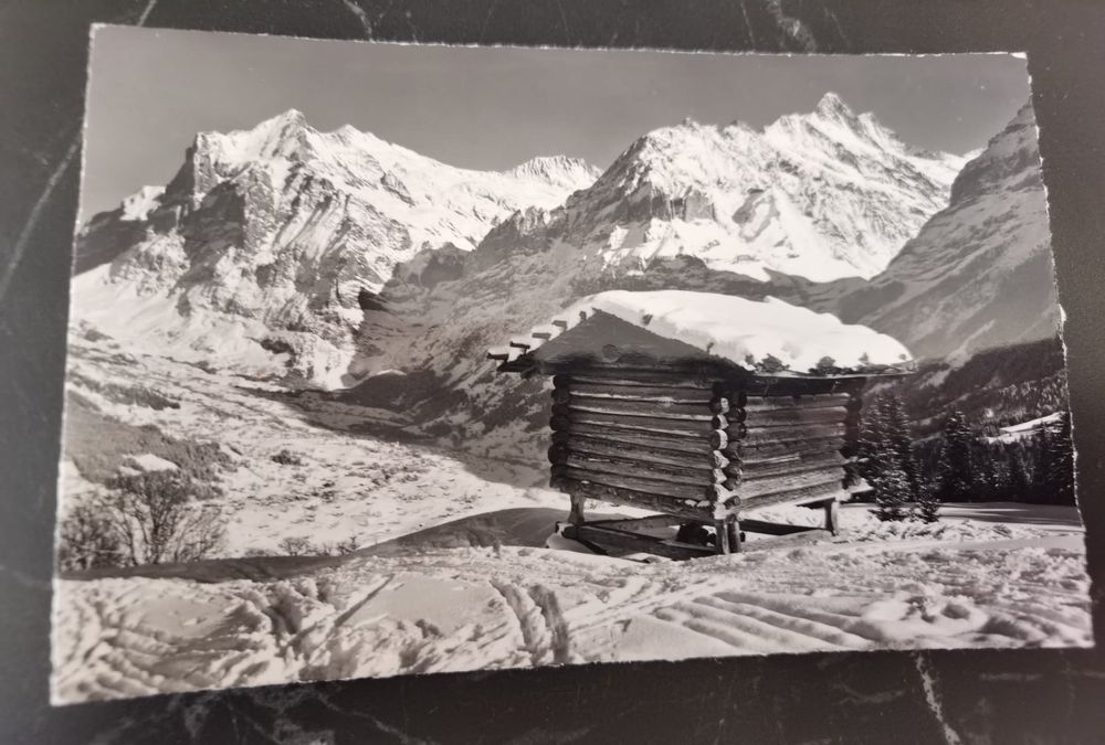 alte AK, Grindelwald, Männlichen Abfahrt, gelaufen ( (Gebraucht) in Kaiseraugst für CHF 4 – mit ...