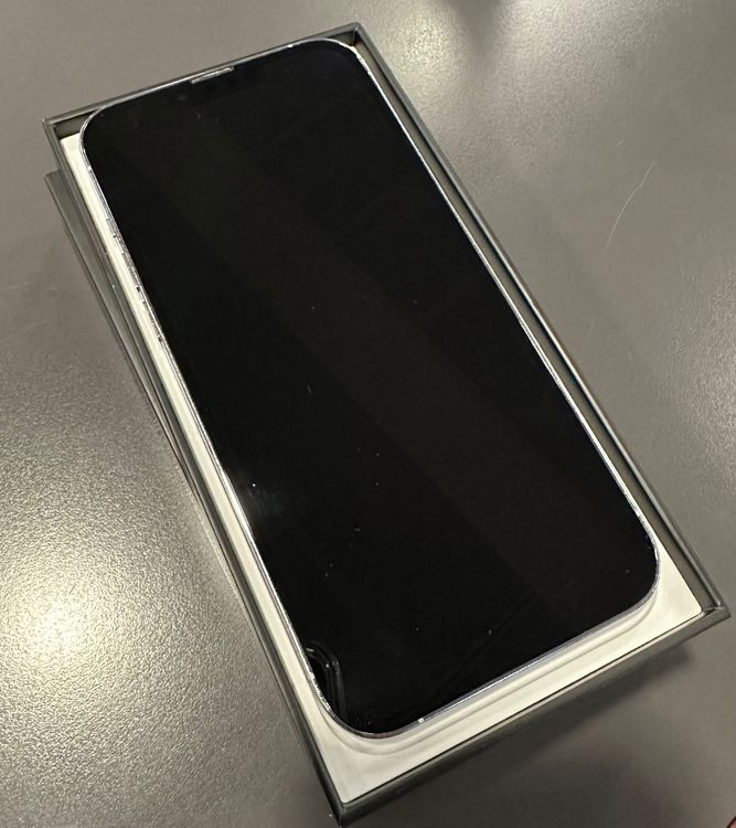 iPhone 13 Pro Max, Silver, 256GB (Gebraucht) in Ittigen für CHF 601 ...