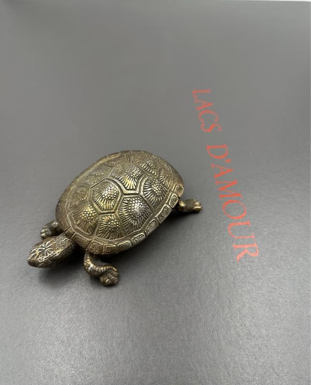 +GF+ Schildkröte aus Eisenguss | Kaufen auf Ricardo