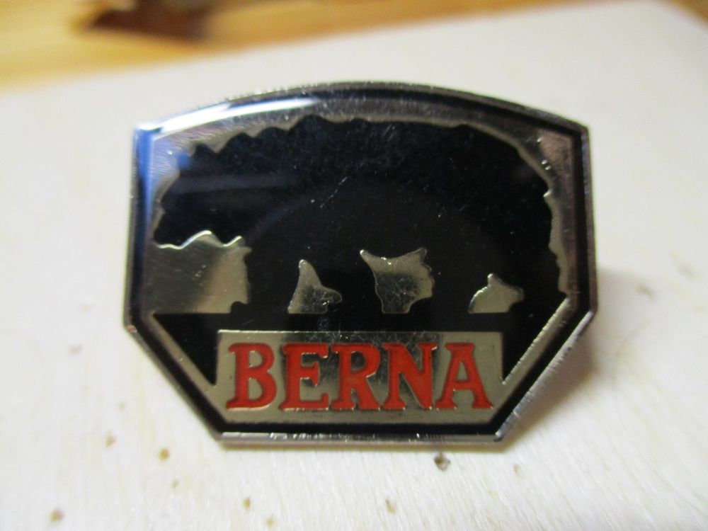 Saurer Berna LKW Logo Pin | Acheter sur Ricardo