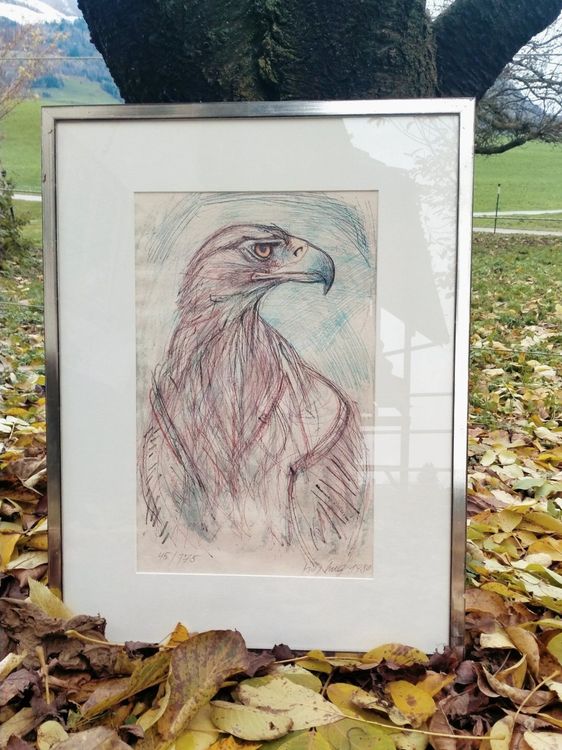 grosse Orig. Lithografie Fritz Hug nummeriert signiert Adler (Gebraucht) in Küssnacht am Rigi ...
