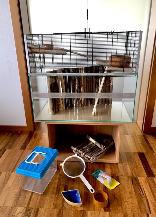 Mäusekäfig Glas / Gitter mit Unterbau (Gebraucht) in Altstätten SG für ...