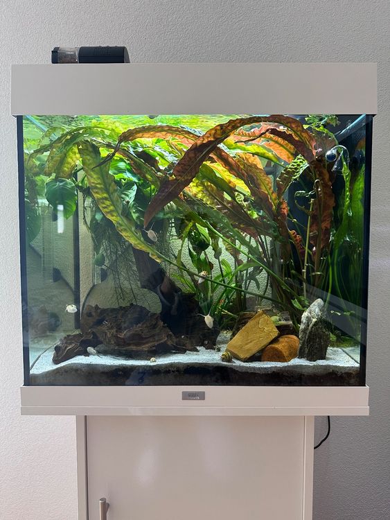 Juwel Lido 110 (Gebraucht) in Dagmersellen für CHF 140 – nur Abholung auf Ricardo kaufen