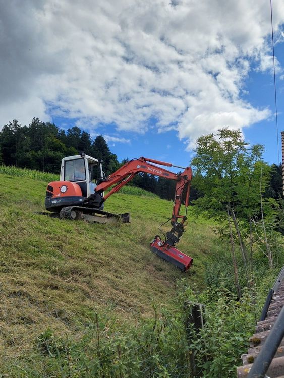 Mulchen mit Bagger Pro Std 90.00 Chf (Gebraucht) in Biembach im ...