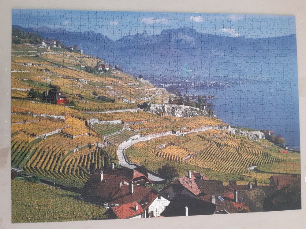 Blick auf Rivaz Genfersee Puzzle | Kaufen auf Ricardo