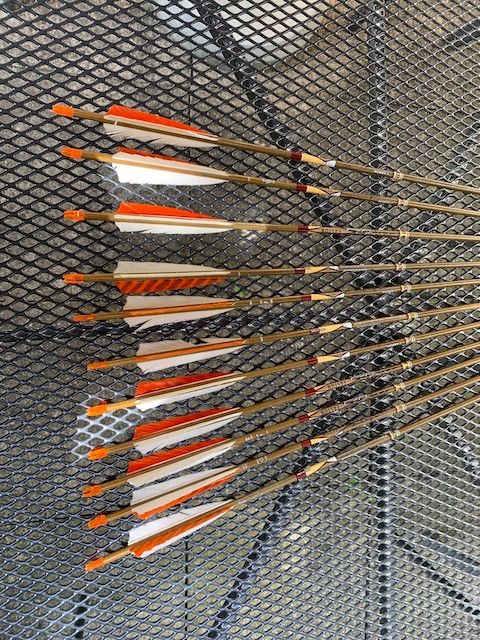 Pfeile Easton Axis Traditional 600 | Kaufen auf Ricardo