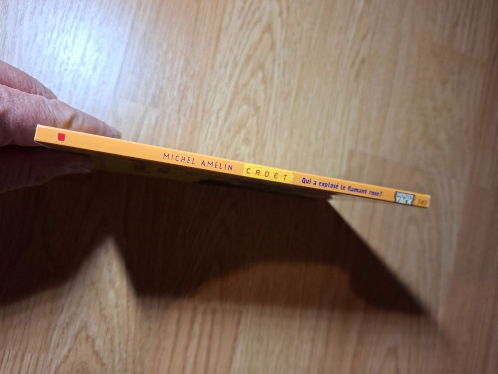 livre Sherlock Yack zoo-détective Qui a explosé le flamant R (Neuf ...
