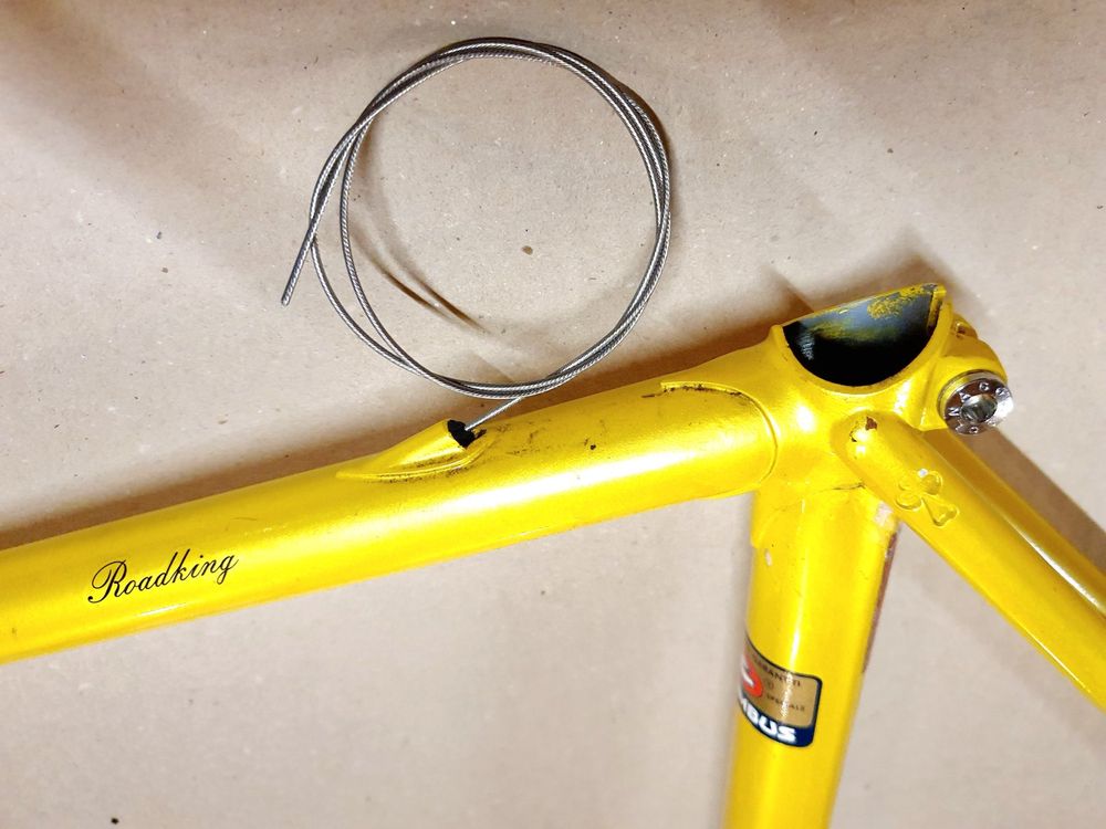 Rennvelo Rahmen Colnago / RH56 / Fredy Rüegg Label / Vintage (Gebraucht ...