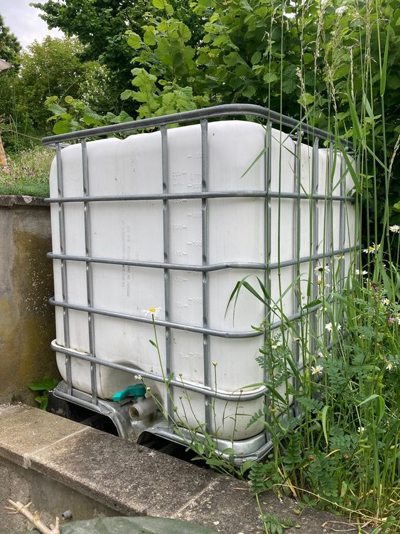 Wassertank IBC 1000l (Gebraucht) in Schaffhausen für CHF 1 – nur ...