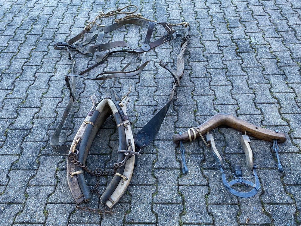 altes Ochsengeschirr und Ochsenjoch (Gebraucht) in Feldbach für CHF 79 ...