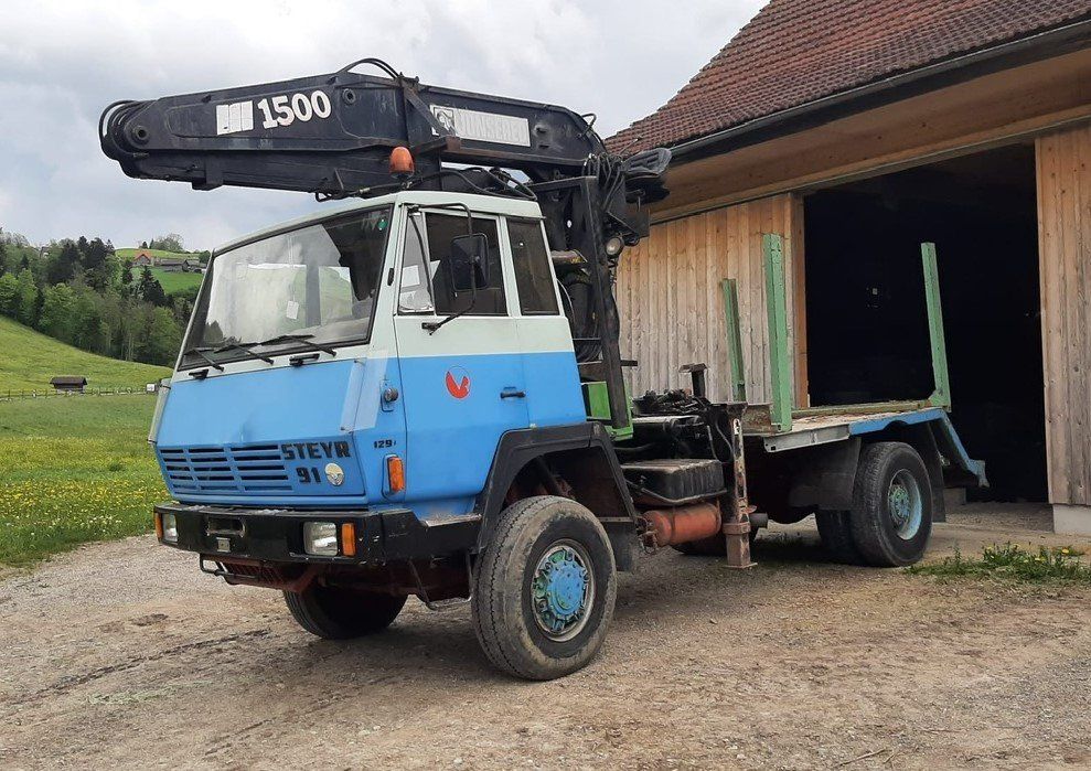 Lastwagen Steyr 2191-280 4x4, Kranwagen, LKW, Mulde, Greifer | Kaufen ...
