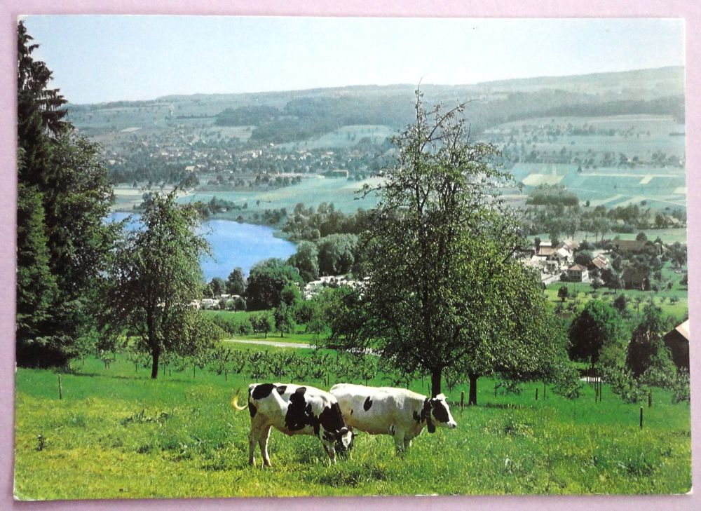 Camping-Seeblick, Mosen am Hallwillersee (Defekt) in Fétigny für CHF 1 ...