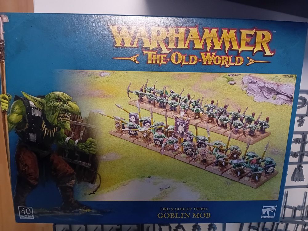 Warhammer The Old World Goblin Mob (Neu (gemäss Beschreibung)) in ...