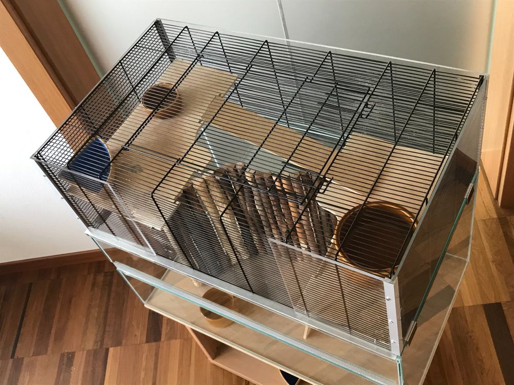 Mäusekäfig Glas / Gitter mit Unterbau (Gebraucht) in Altstätten SG für ...