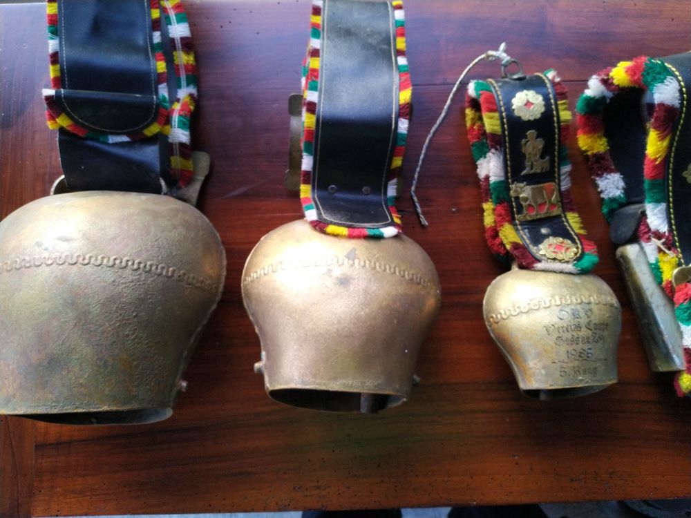 4Stk.Treicheln Gebraucht | Kaufen auf Ricardo