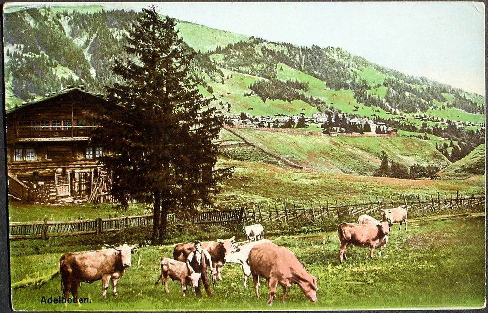 UNBEKANNT ALP Bauer mit Kühen (Neu (gemäss Beschreibung)) in Jona für ...
