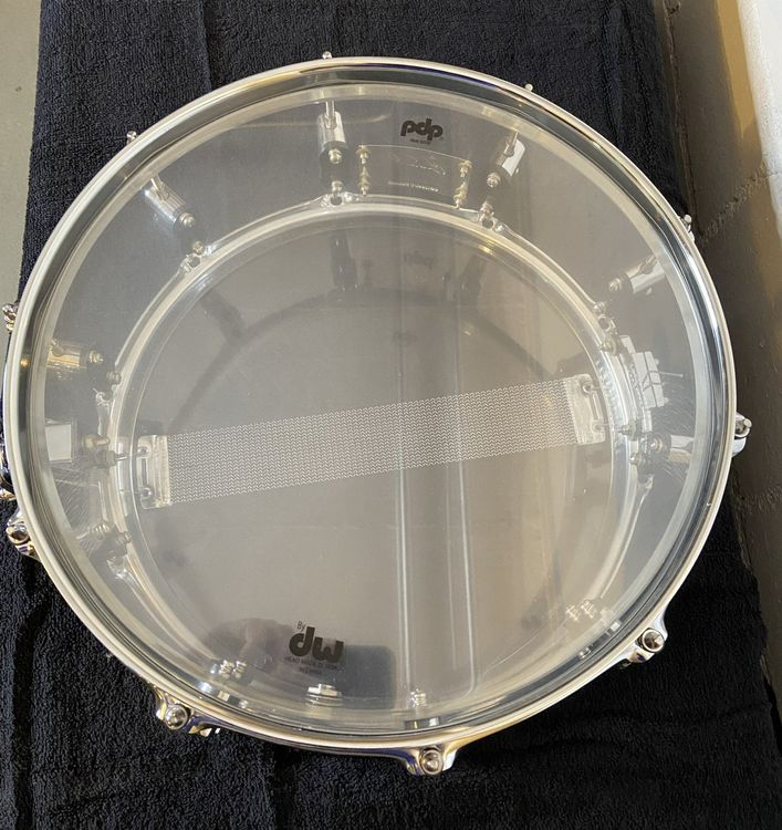 Chad Smith Signature Acryl Snaredrum (Neu (gemäss Beschreibung)) in ...