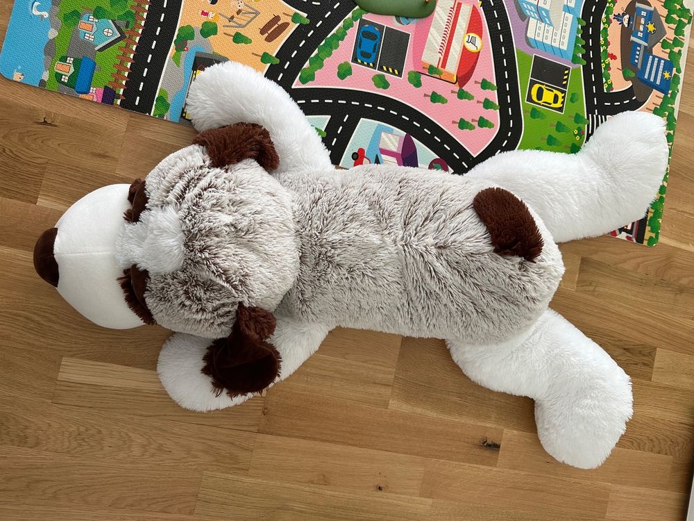 Grosser Teddy Hund (Gebraucht) in Schübelbach für CHF 9 – mit Lieferung ...