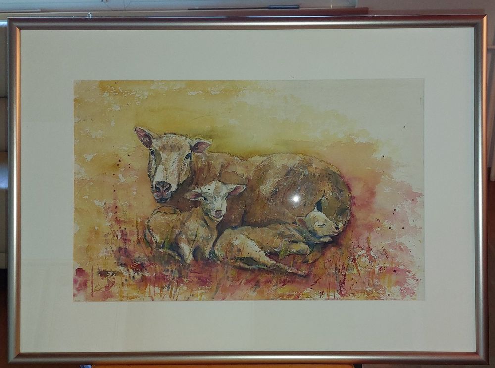 Aquarell Schafbild Mutter mit Lämmer gerahmt (Gebraucht) in Sax für CHF 1 – mit Lieferung auf ...