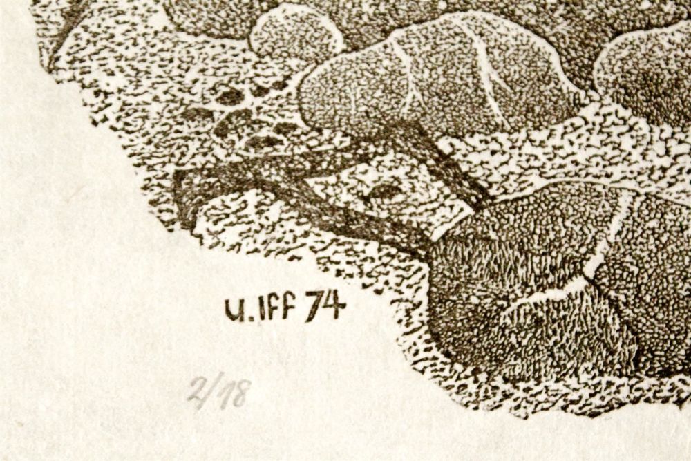 ULRICH IFF (Schweiz, 20. Jh.) (Gebraucht) in Bern für CHF 10 – mit Lieferung auf Ricardo kaufen