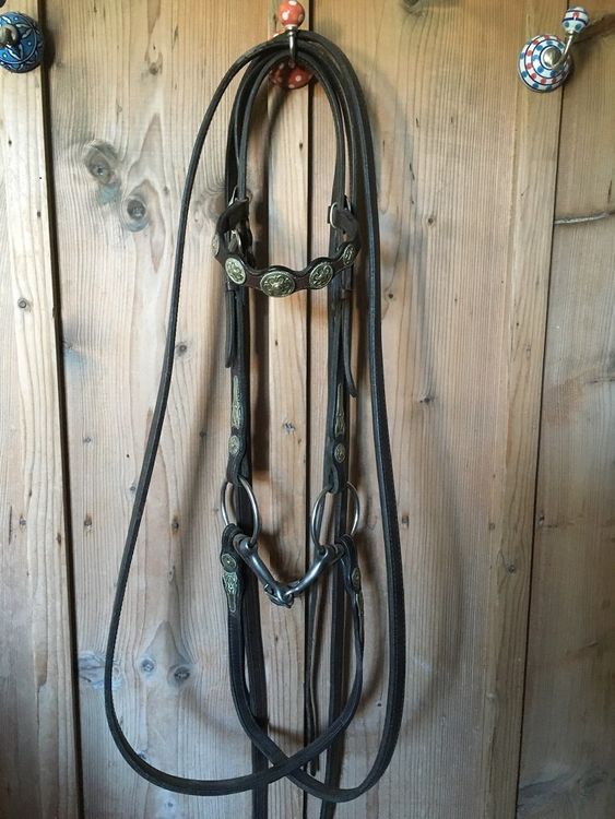 Western Zaum mit Zügeln (Gebraucht) in Zürich für CHF 280 – mit ...