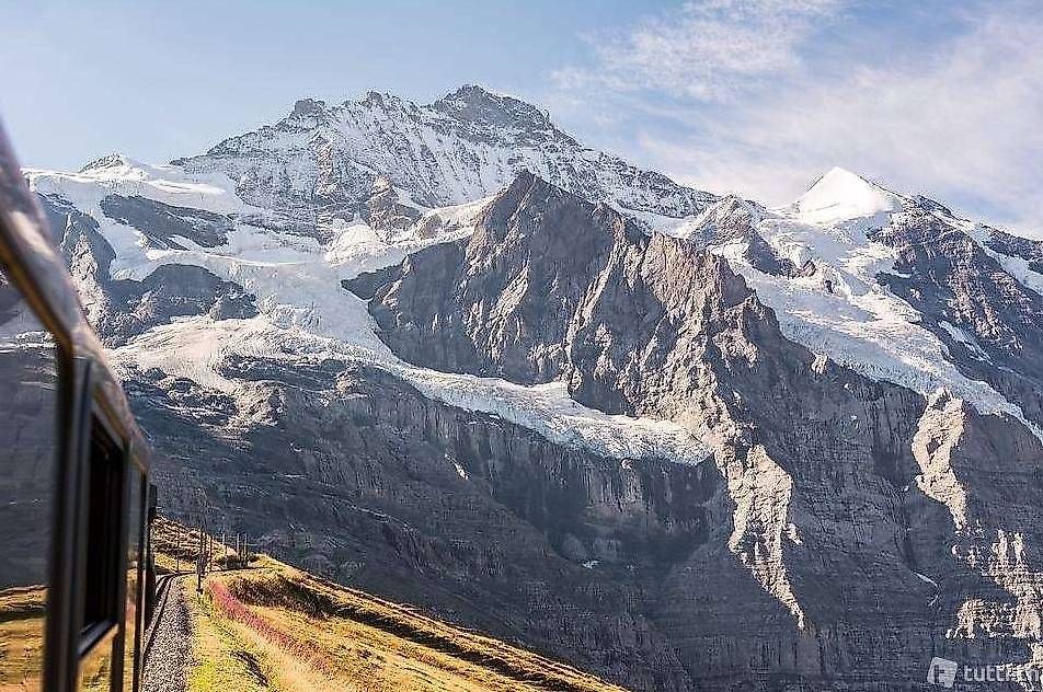 Sigma Art 35mm 1.4f für Nikon (Gebraucht) in Zürich für CHF 370 – mit ...