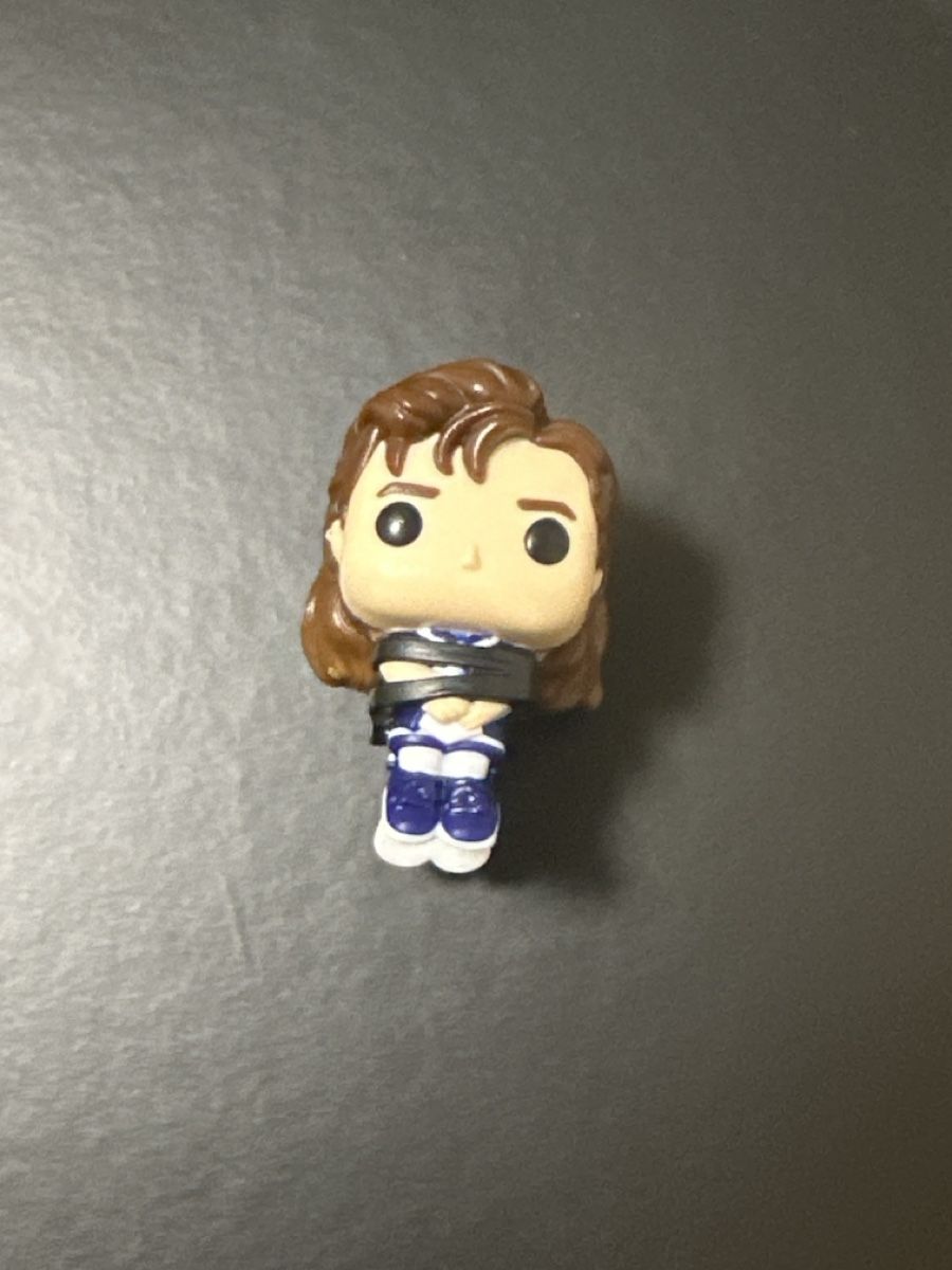 Steve & Robin - Stranger Things (Neu (gemäss Beschreibung)) in Dietikon ...