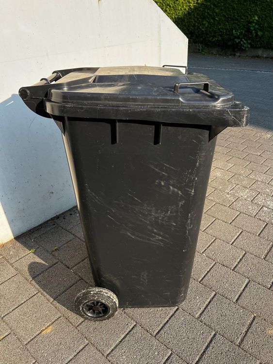 Weber Container 240 Liter | Kaufen auf Ricardo