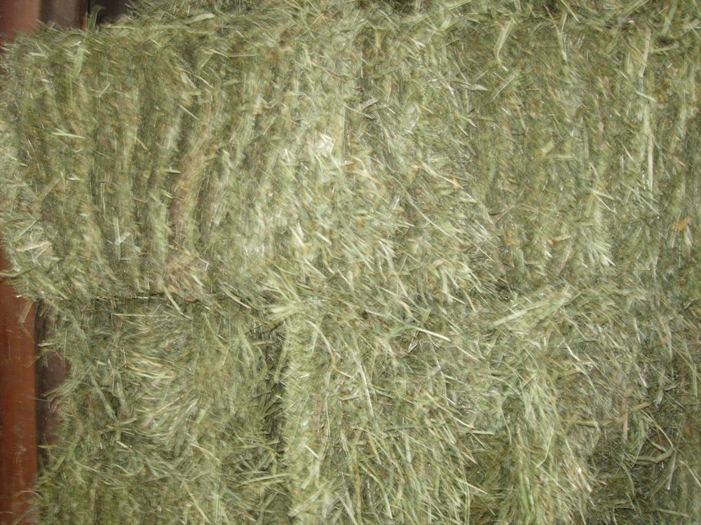 Heu Emd (Neu und originalverpackt) in Schötz für CHF 15 – nur Abholung ...