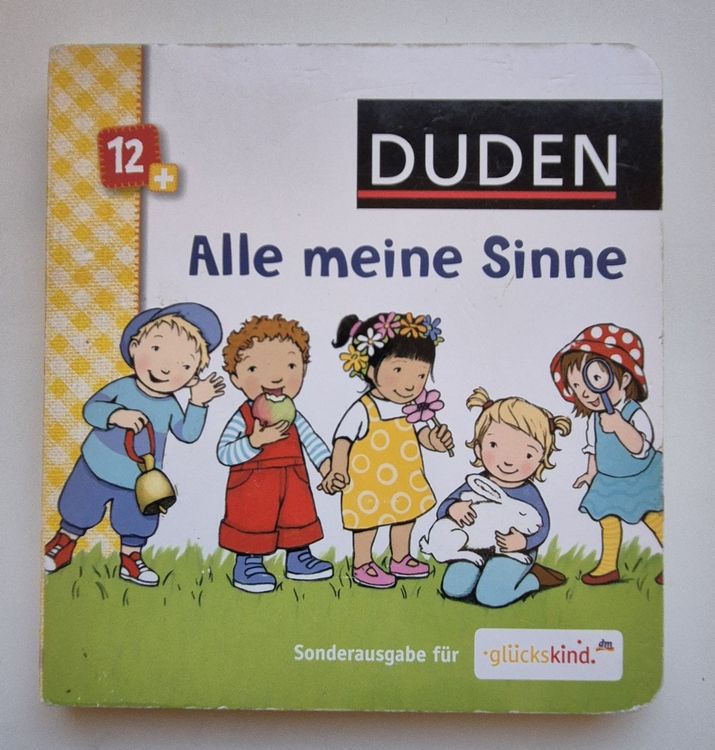 DUDEN 12+ - Alle meine Sinne (Gebraucht) in Niederweningen für CHF 4 ...