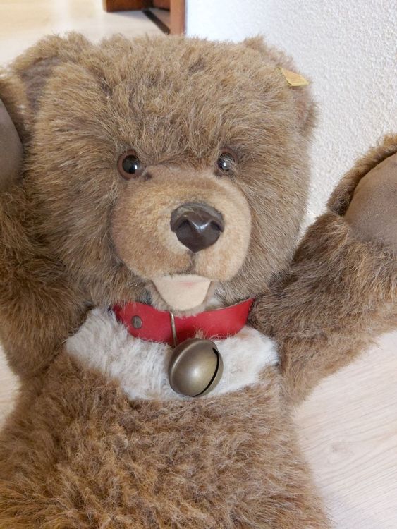 Steiff Bär auf Rollen 8150/40 (Gebraucht) in für CHF 251 – mit ...