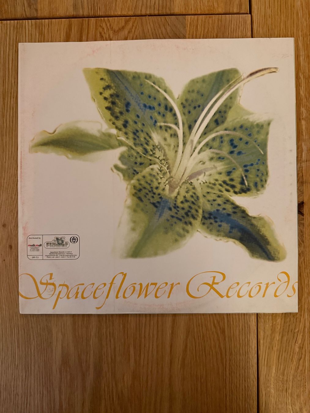 Global Players – I Like Noise (Hardtrance, Spaceflower 0030) (Gebraucht ...