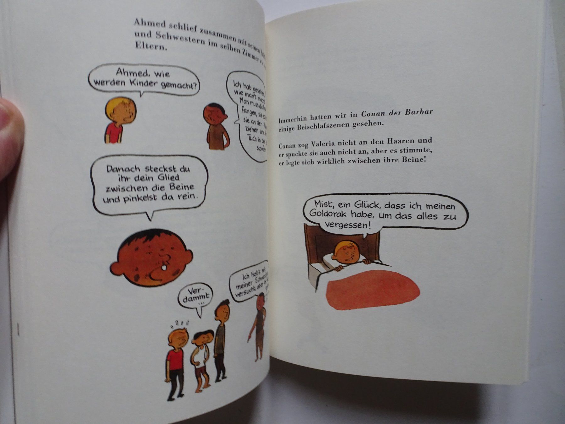 Riad Sattouf - Meine Beschneidung - Comic - Top Zustand! (Gebraucht) in ...