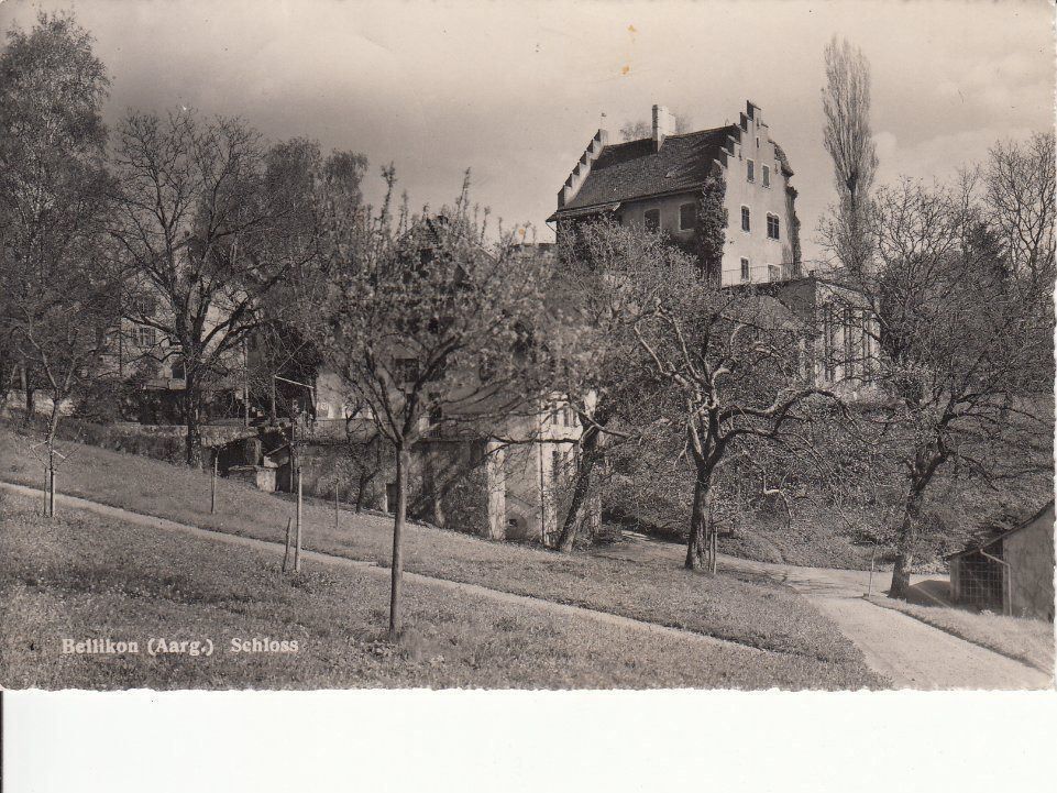 Bellikon 1947 (Gebraucht) in Bürglen TG für CHF 1.5 – mit Lieferung auf Ricardo kaufen