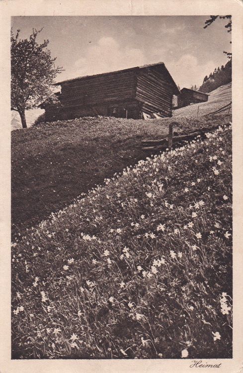 Heimat 1925 ( Tampon de Ebnat Kappel ?) (Gebraucht) in Cormoret für CHF 4.5 – mit Lieferung auf ...