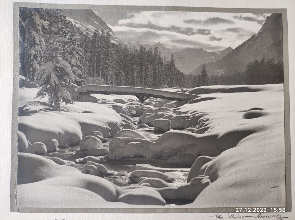 ALBERT STEINER - WINTERLANDSCHAFT | Kaufen auf Ricardo