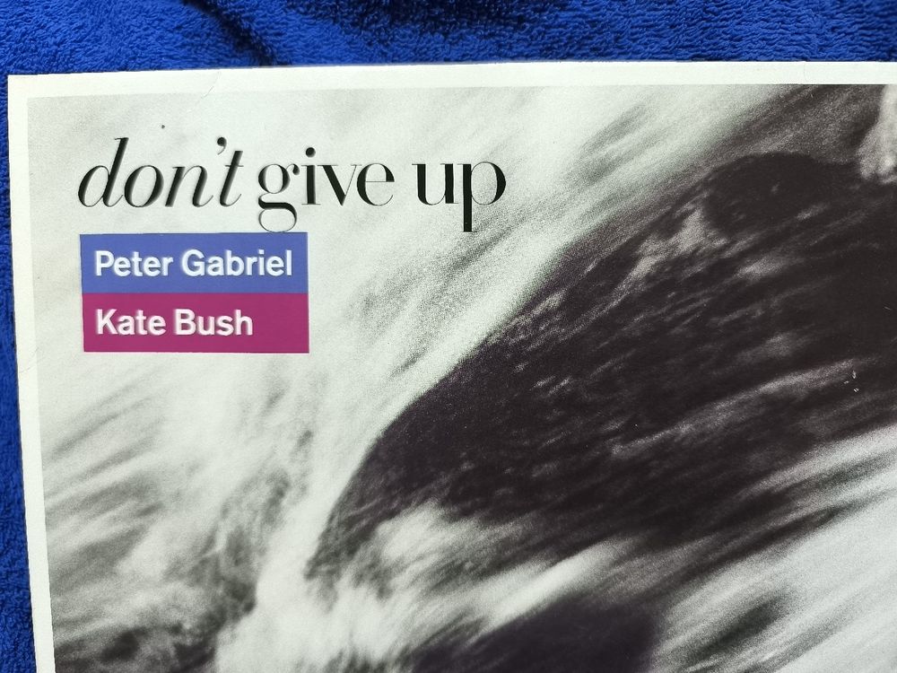 Peter Gabriel & Kate Bush - Don't Give Up - Vinyl Single (Gebraucht) in ...