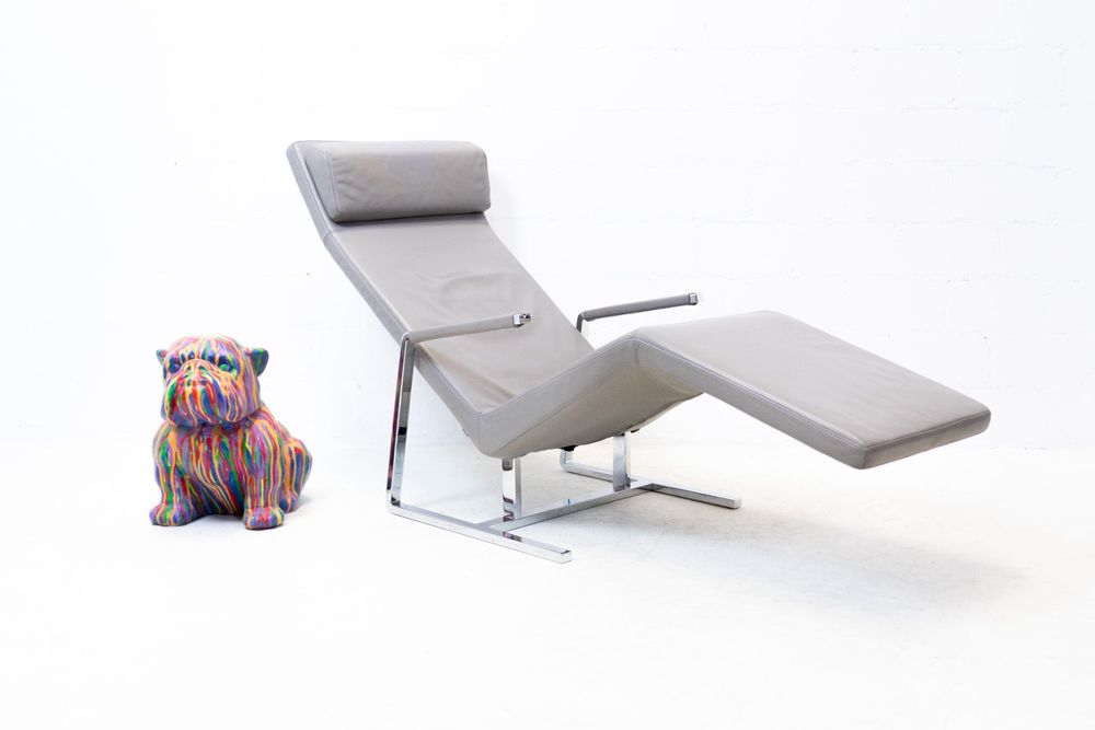 Team by Wellis MaRe Liege Leder Nr. 14 - Lieferung möglich (Gebraucht ...