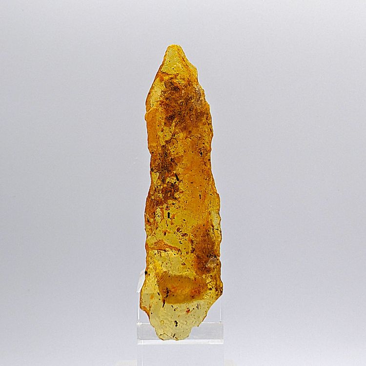 HONIGFARBENER KOPAL-BERNSTEIN mit MÜCKEN und INSEKTEN (Neu (gemäss Beschreibung)) in Balerna für ...