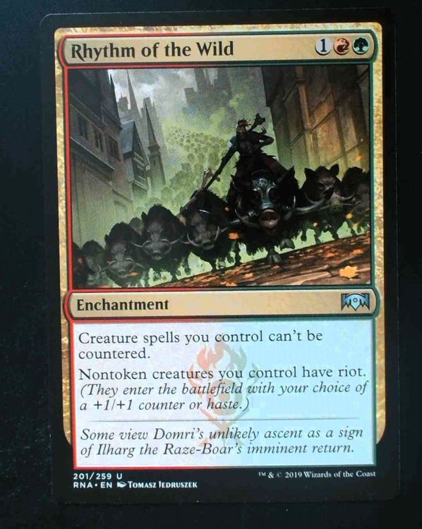Rhythm of the Wild - MTG (Gebraucht) in Zürich für CHF 4 – mit ...