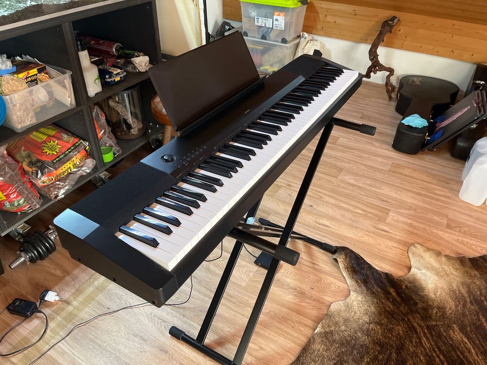 Keyboard Casio CDP-120 (Gebraucht) in Winterthur für CHF 220 – nur ...