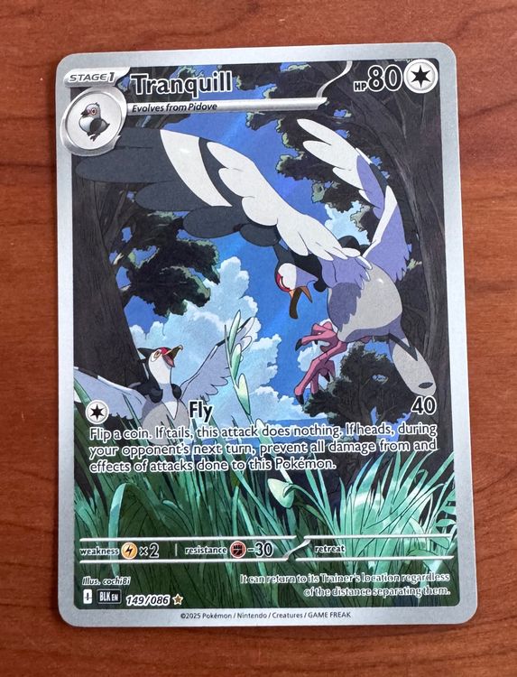 Tranquill ILLUSTRATION RARE Pokemon BLK Black Bolt 149 (Neu (gemäss ...