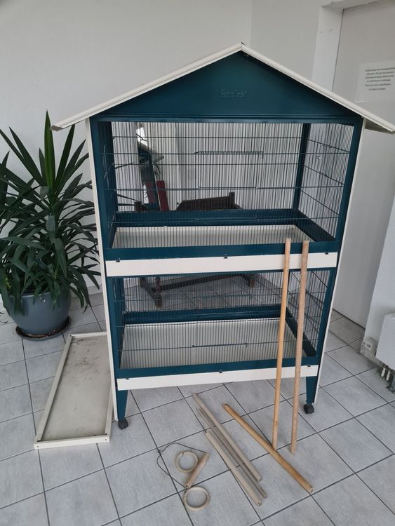 Sitemapcdatahttpsshopinf Inetcomcage Oiseaux Occasion Particulier
