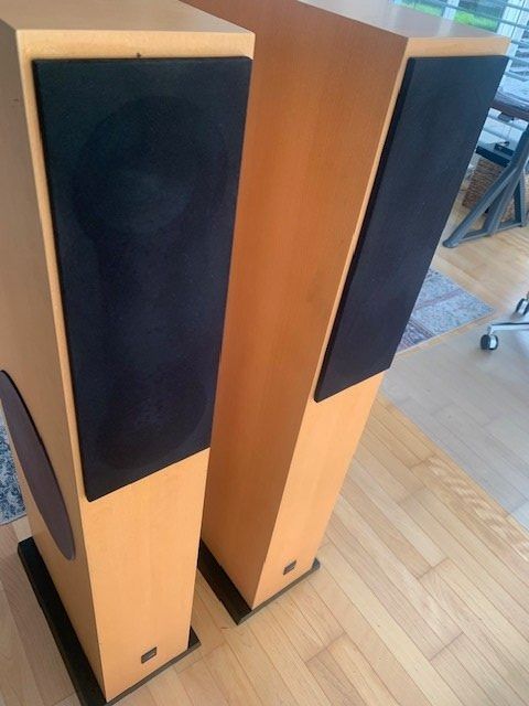 Canton Karat M80 DC (Gebraucht) in für CHF 199 – nur Abholung auf ...