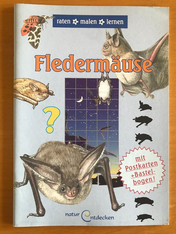 Fledermäuse - raten malen lernen - Unterrichtshilfe (Gebraucht) in ...