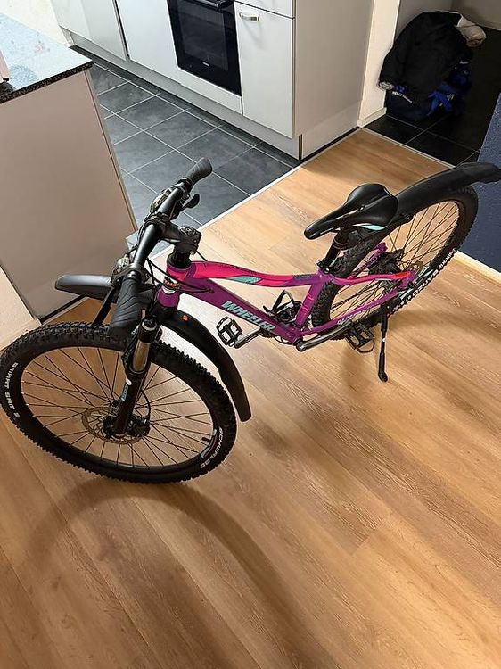 WHEELER BIKE WIE NEU (Gebraucht) in Zweilütschinen für CHF 300 – nur ...